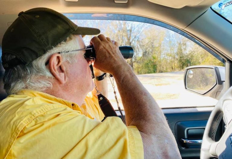 Counting Birds On and Around Lake Livingston - Dock Line Magazine