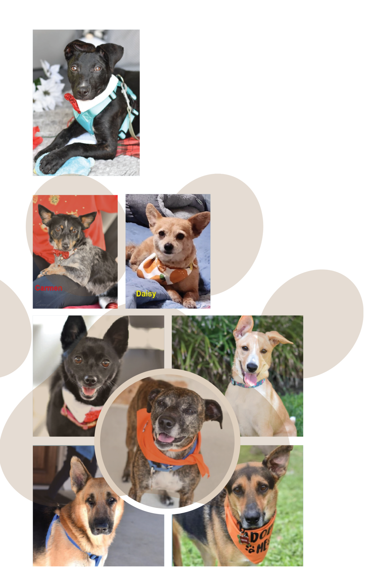 ASVT: Happy New Year 2024… We Rescue On… - Dock Line Magazine